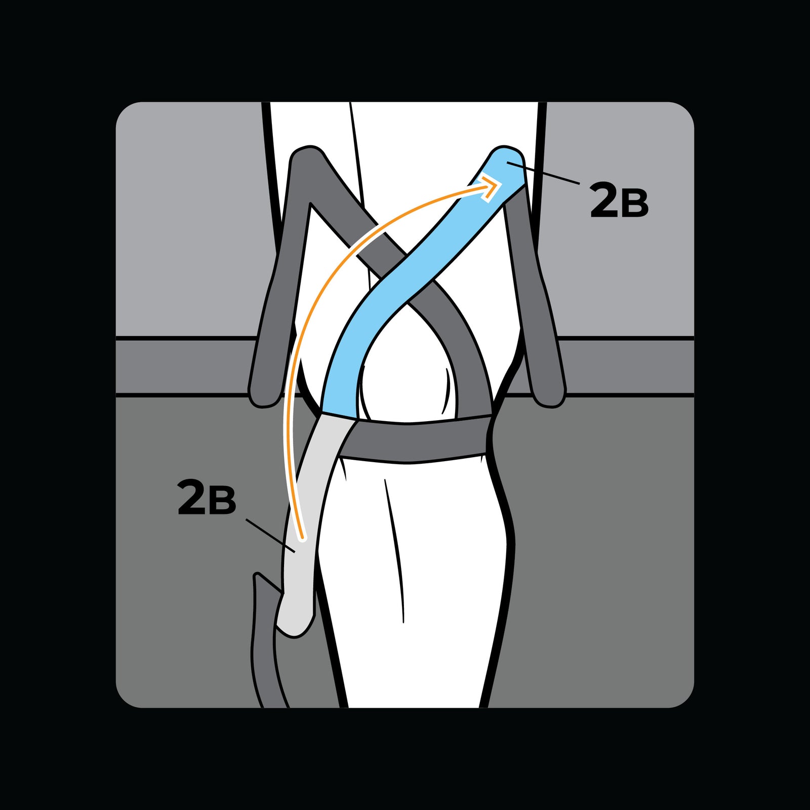 How to Apply Pro Knee – Spidertech